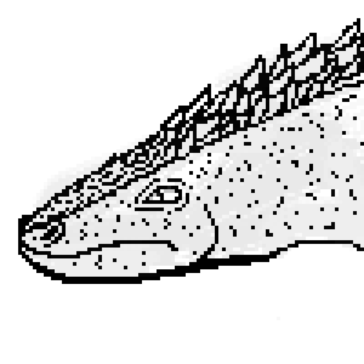 Jaeger134s Gallery Pixilart