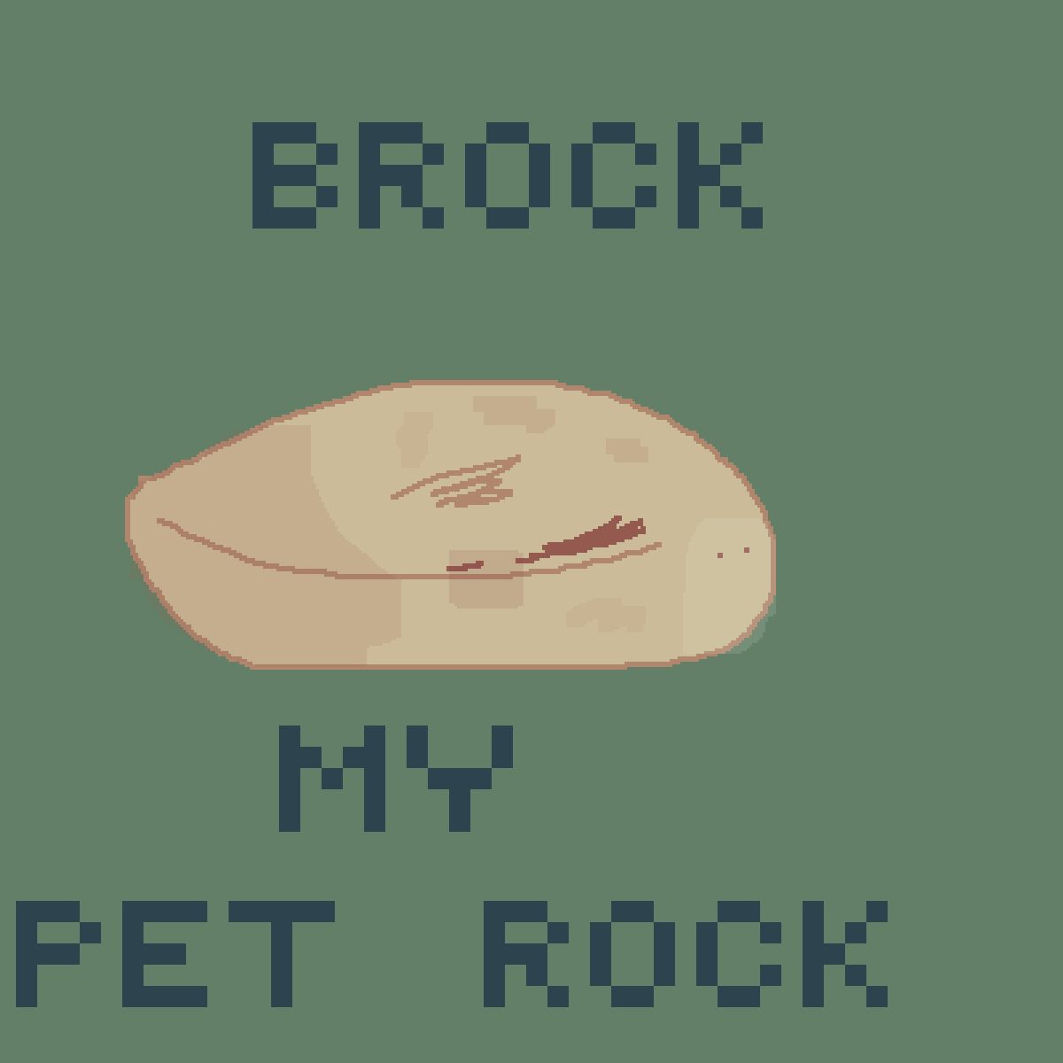 Pixilart - meet brock people by Cat-are-cute