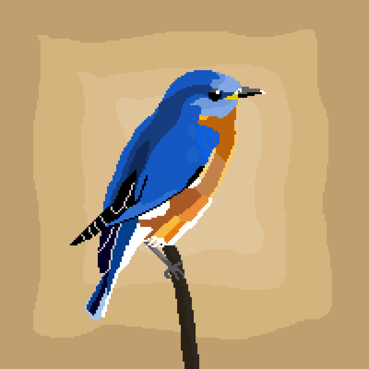 Pixilart - Eastern Blue Bird by FlyingPiggy