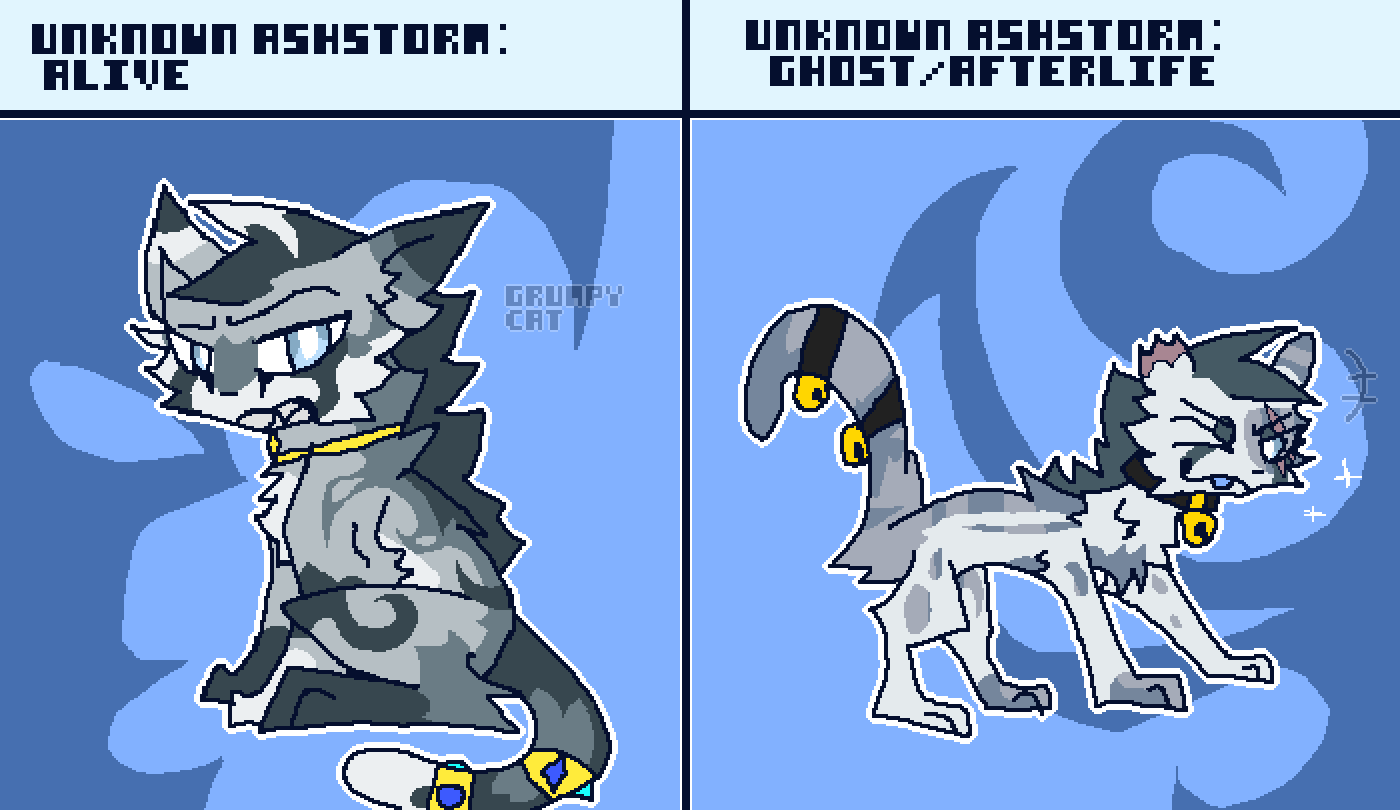 Pixilart - Unknown AshStorm thingy by ShirMogo9640