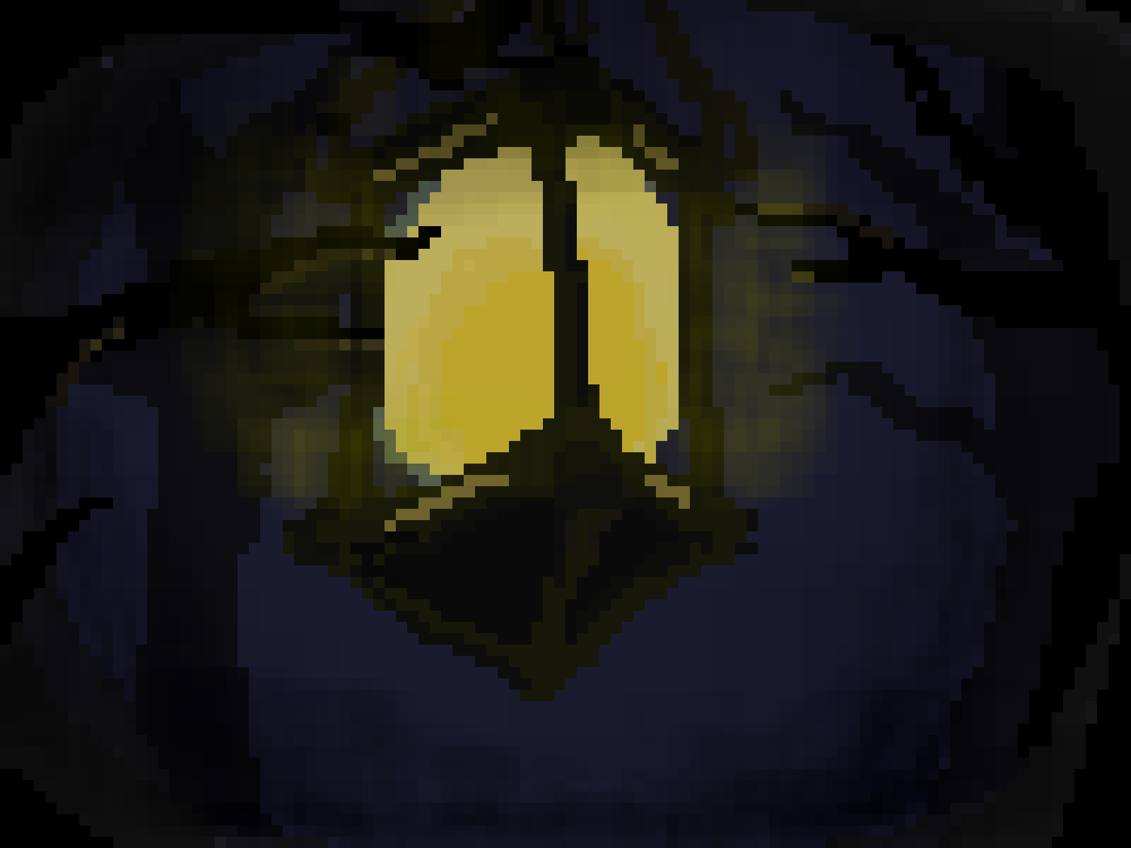 Walkersodom's Gallery - Pixilart