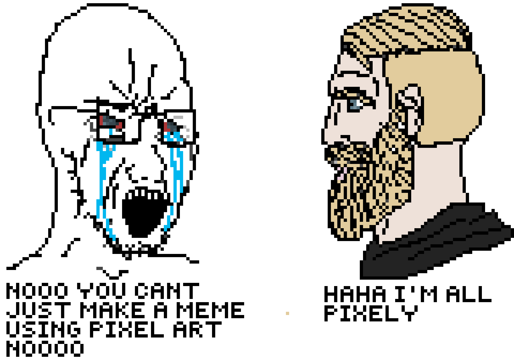 Pixilart - Pixel Art Meme! by Skeletial