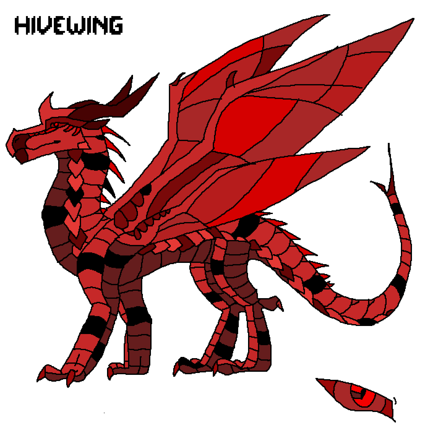 Pixilart - Hivewing types by nocturnnus