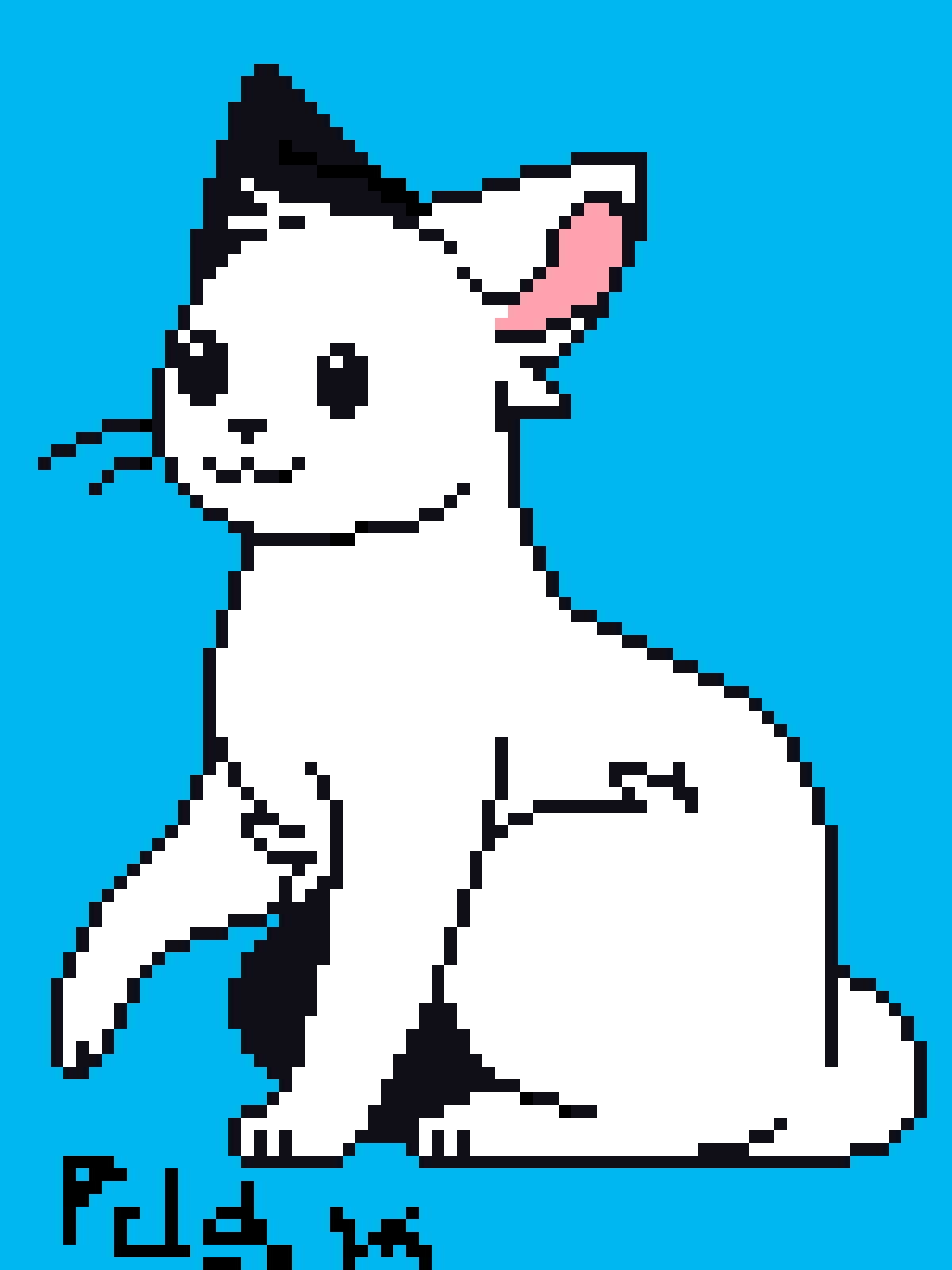 pusk's Gallery - Pixilart