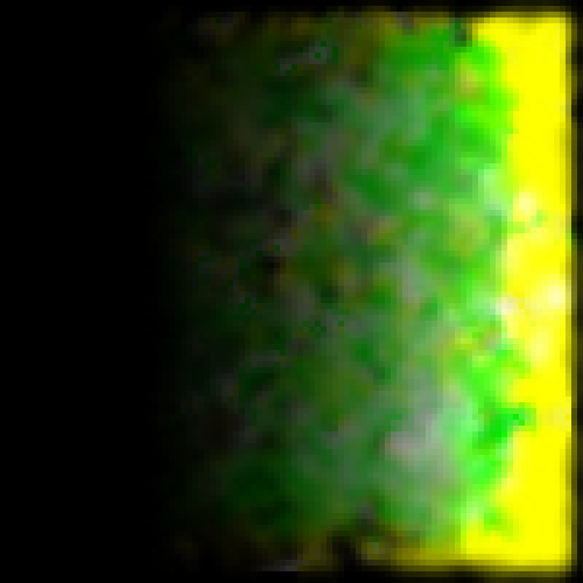 nvrlft's Gallery - Pixilart