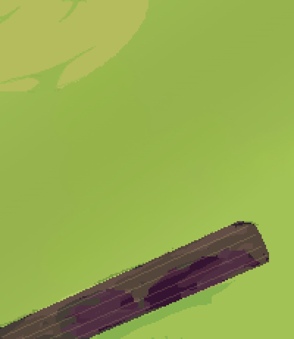 JZidkwhy's Gallery - Pixilart