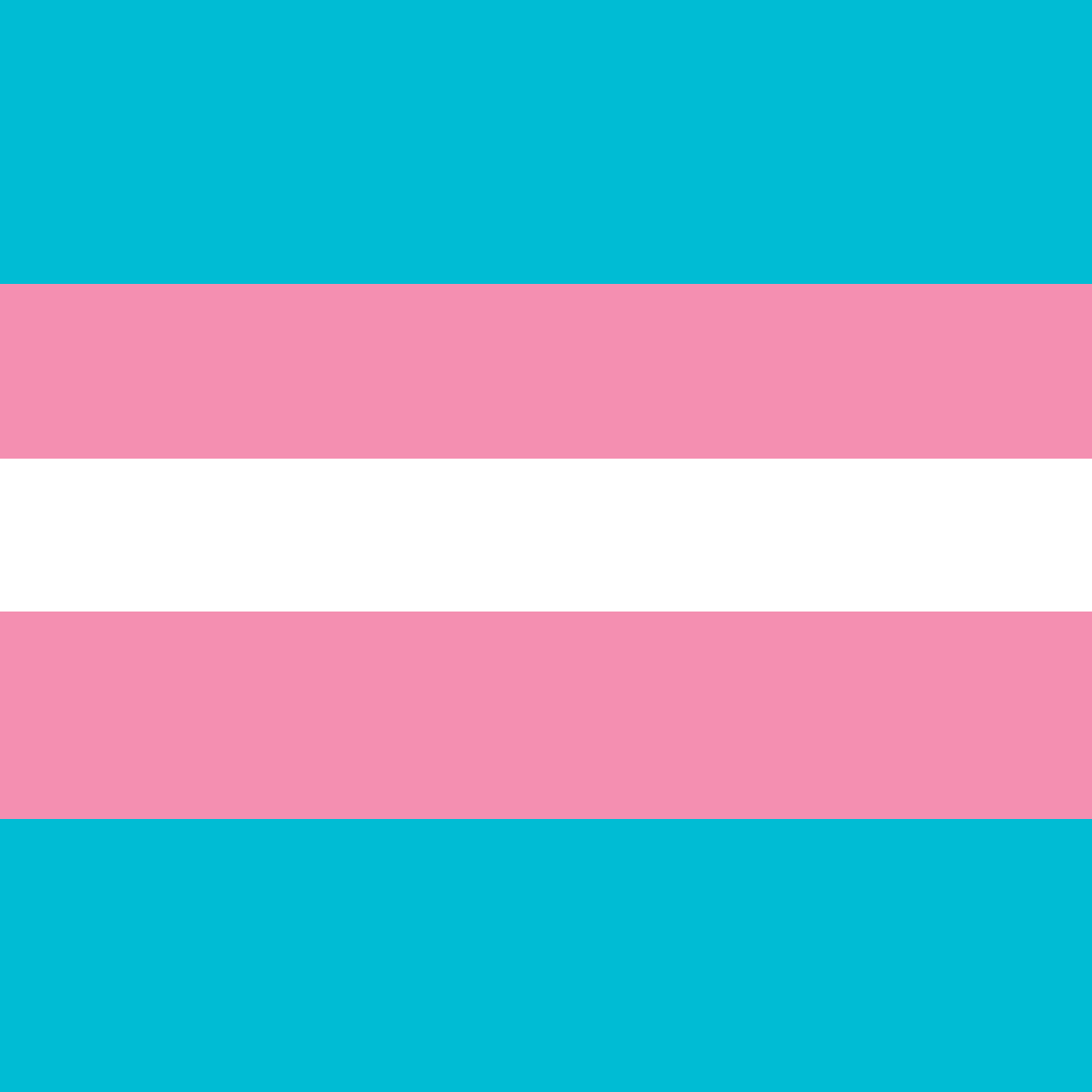 Pixilart - Trans flag by Ranboo-Beloved