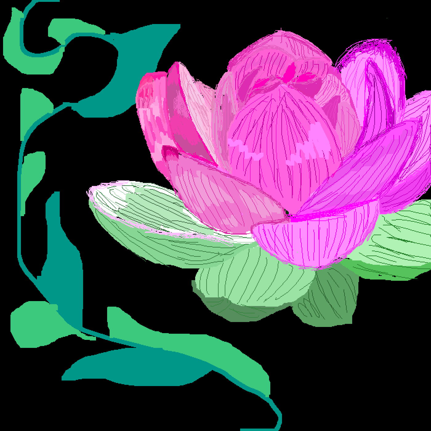 Pixilart - Lotus by The-cake-devil