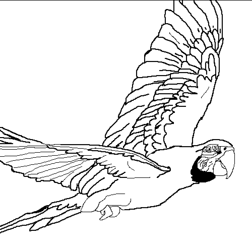Pixilart - macaw base by indovenom-16bit