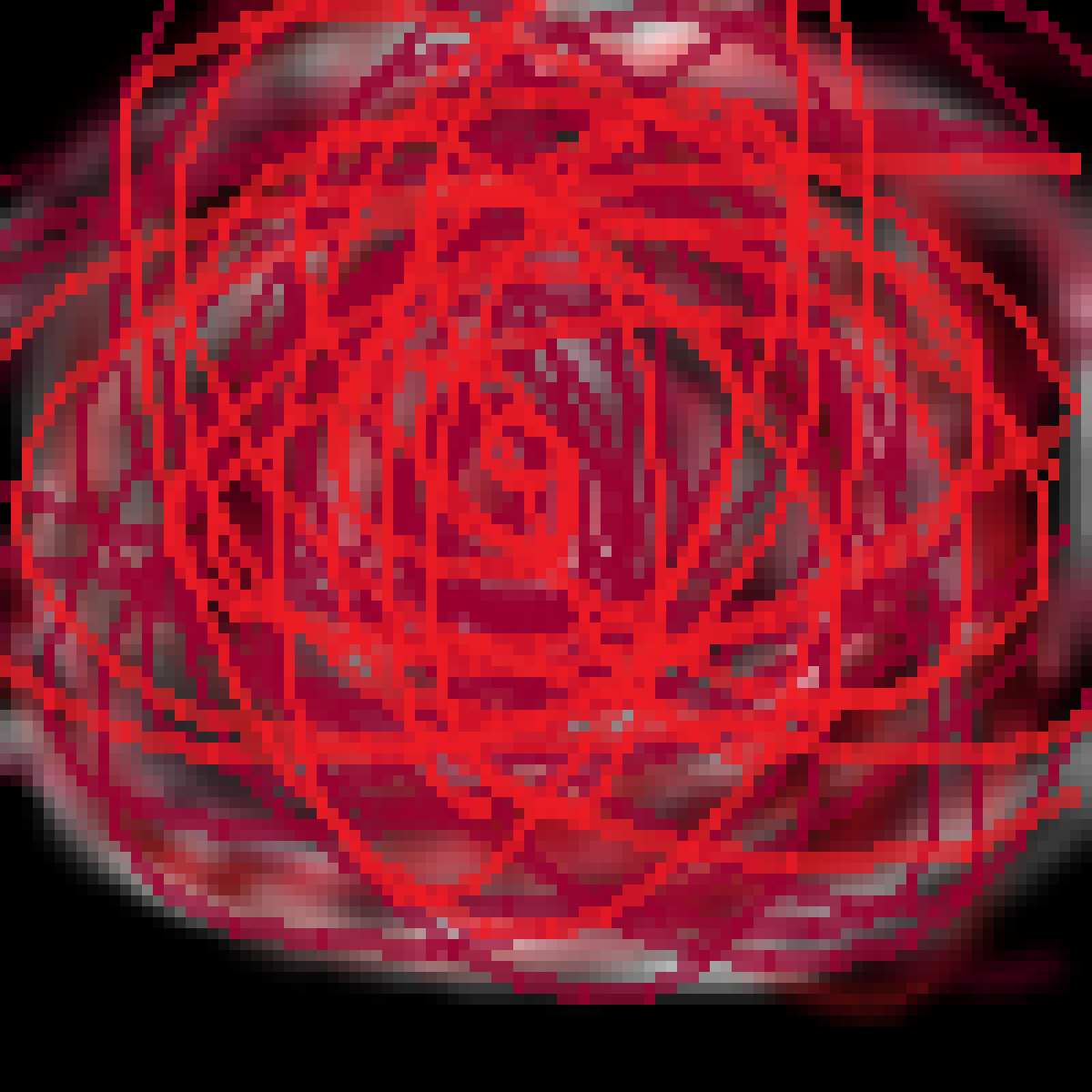 Rubybunnys Gallery Pixilart