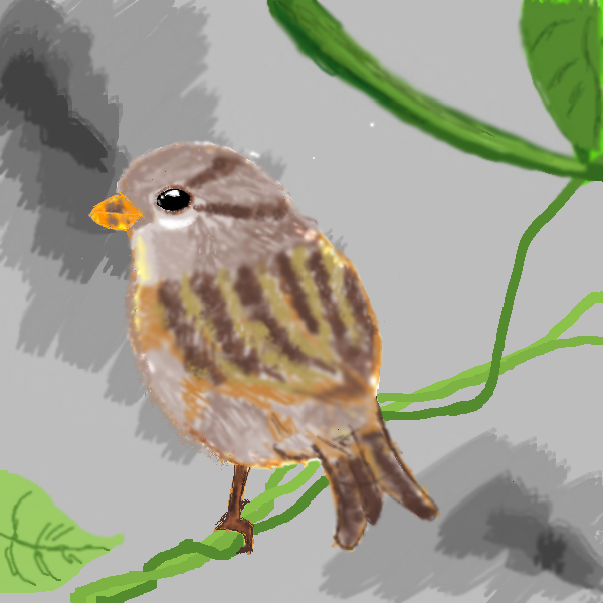 Draw a……..Bird! (PRIZES) Contest - Pixilart