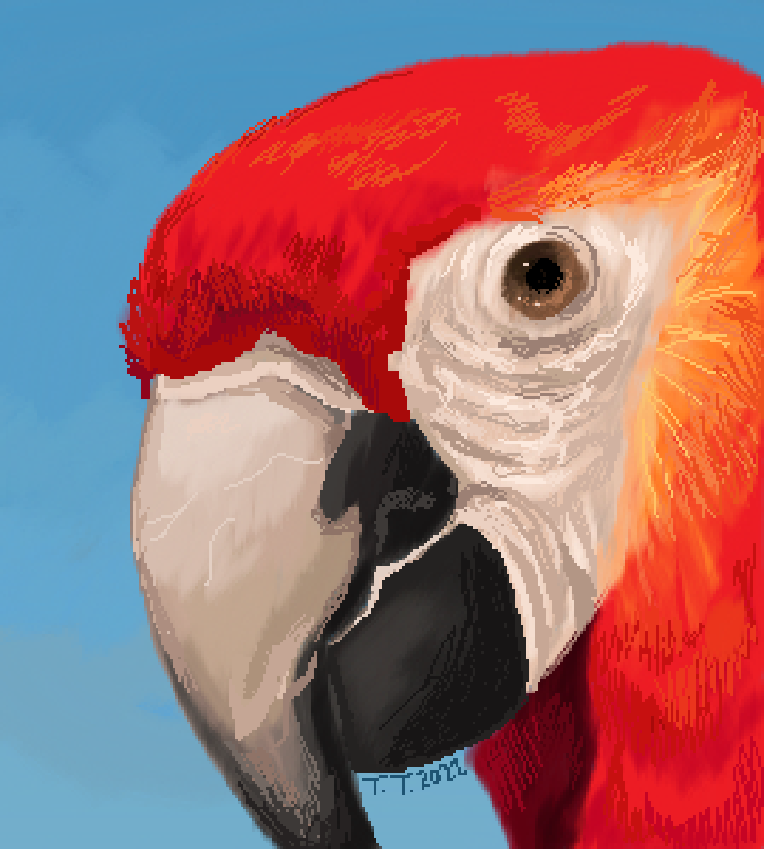 Pixilart - PARROT by Trishtrain207