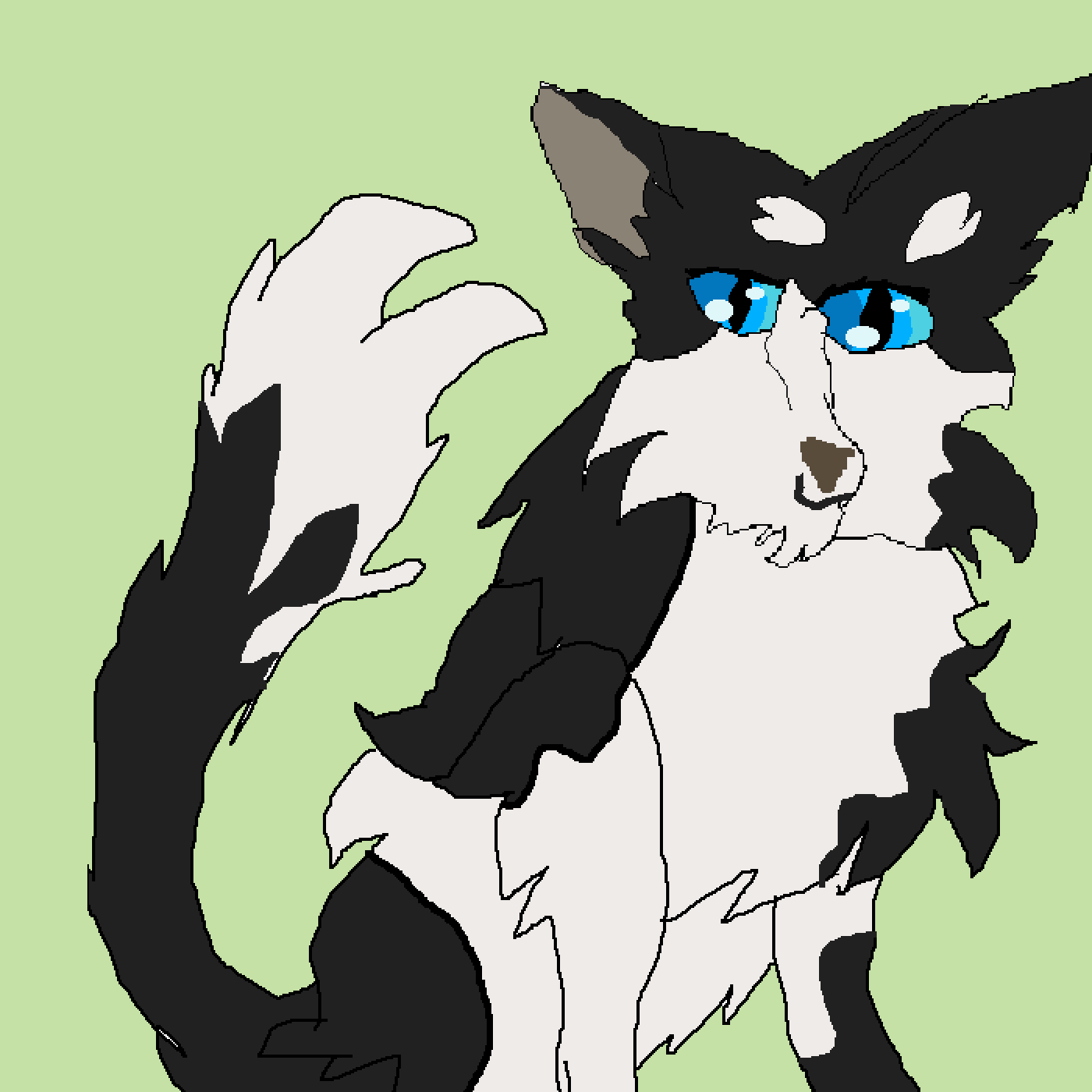 starlight-wolf's Gallery - Pixilart