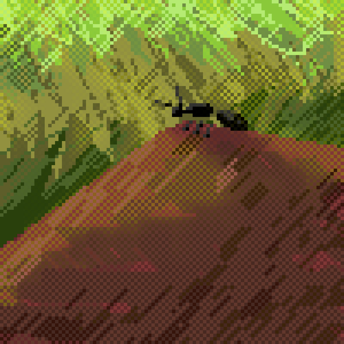 Pixilart - Ant hill by Ladybugana9