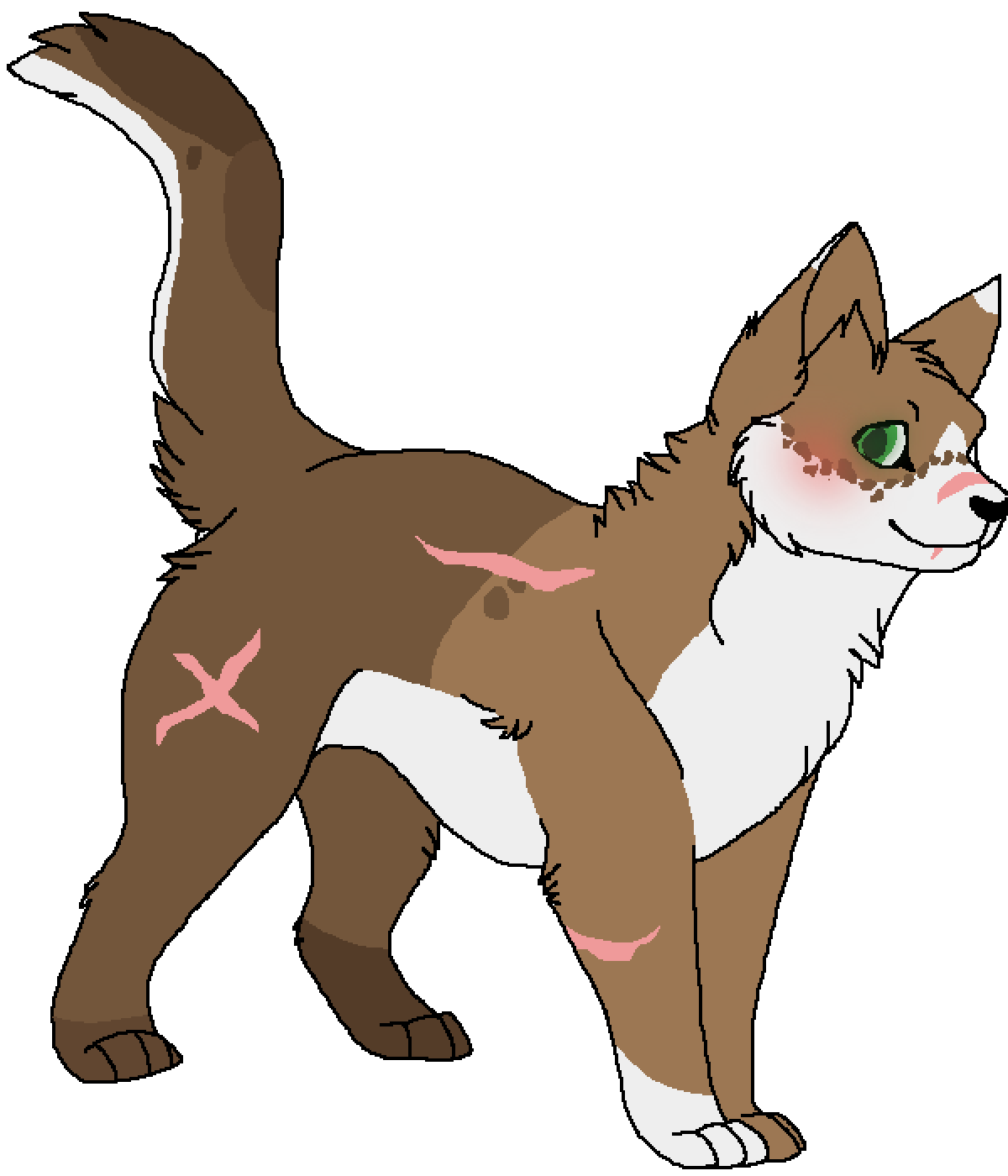 Warrior cats oc contest (Prizes) - Pixilart