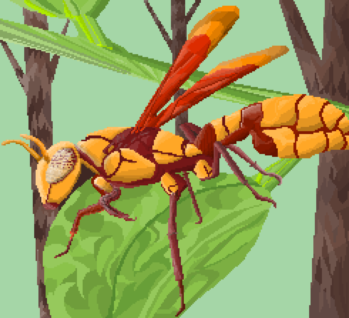 Executioner Wasp