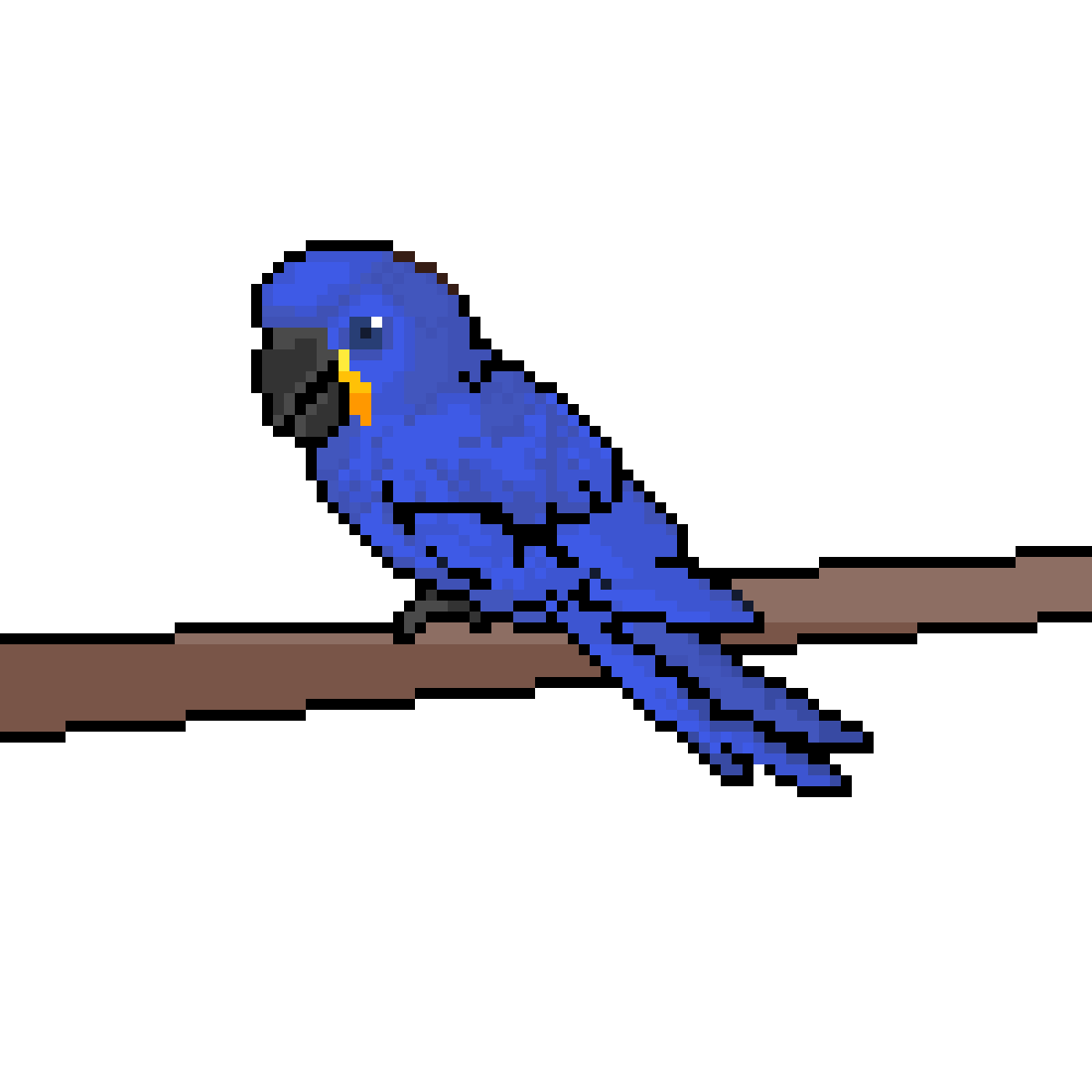 Pixilart - blue macaw by jpapgames