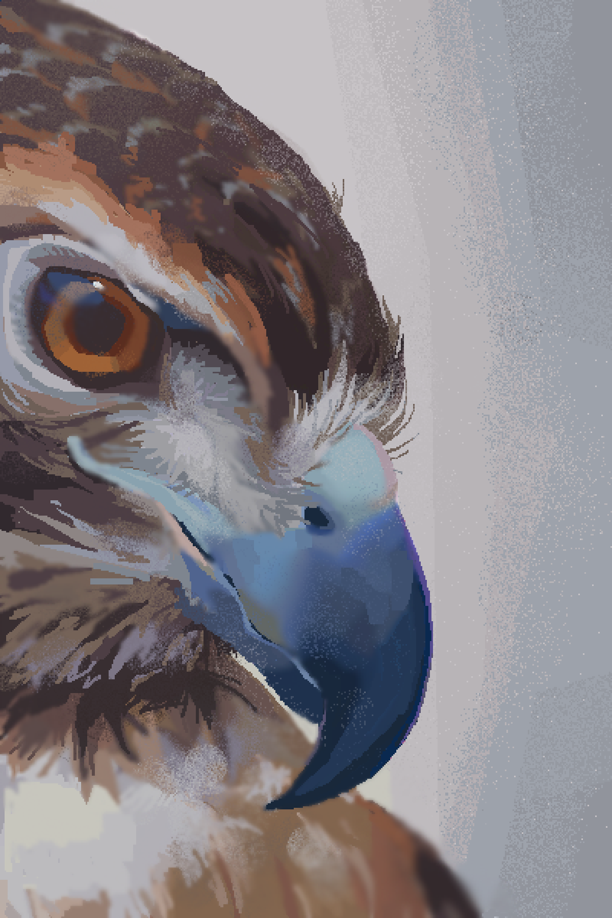 Pixilart - Hawk by DarkMisty