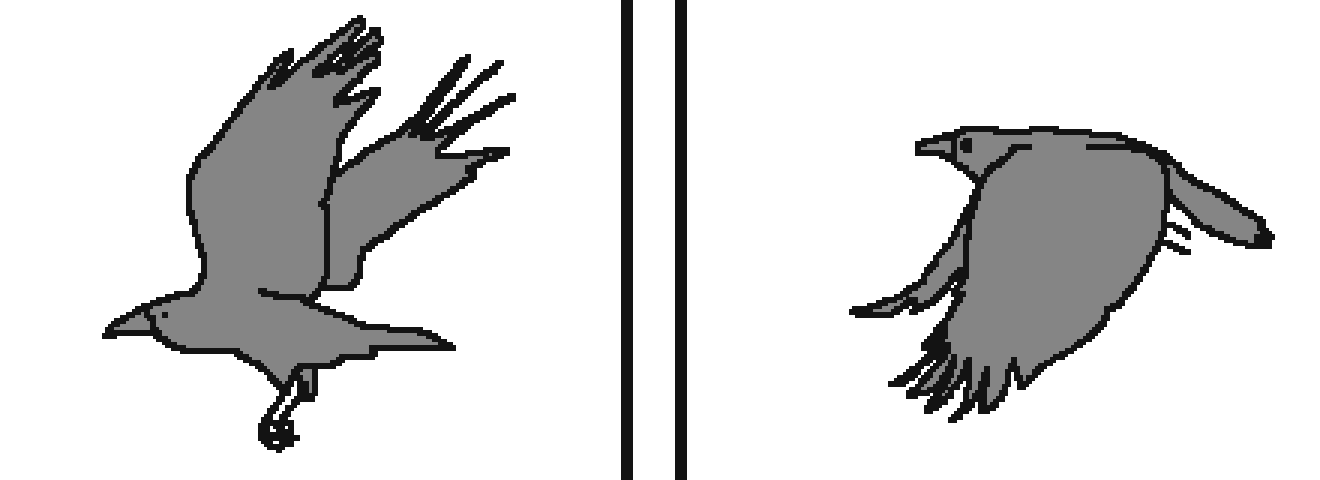 Pixilart - Raven/Crow base by PupperDoggers