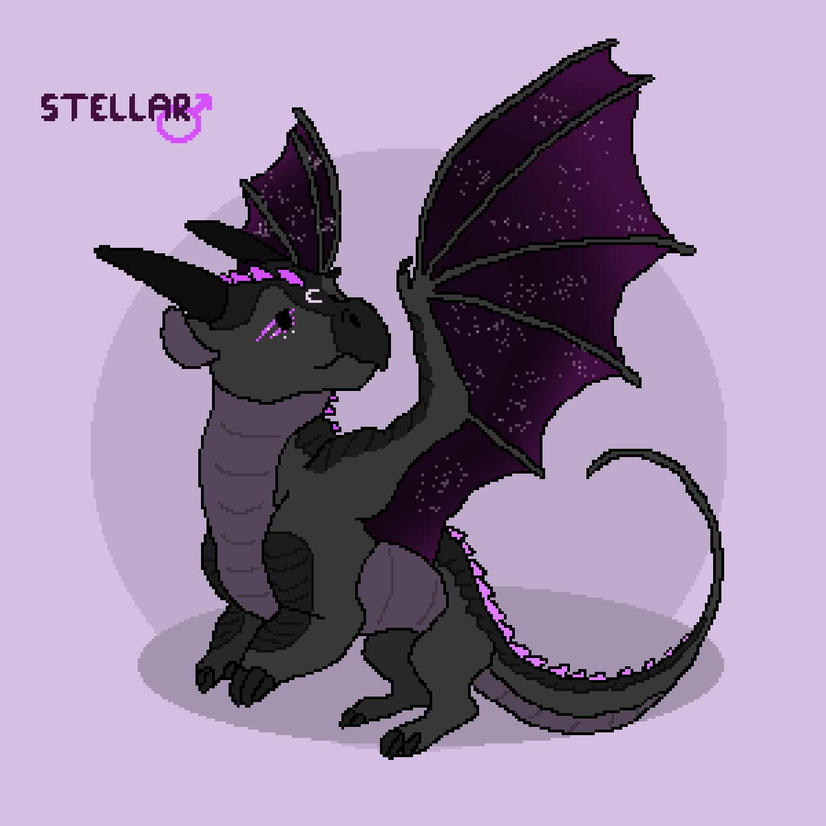 Pixilart - My nightwing oc Stellar by PossessedCat