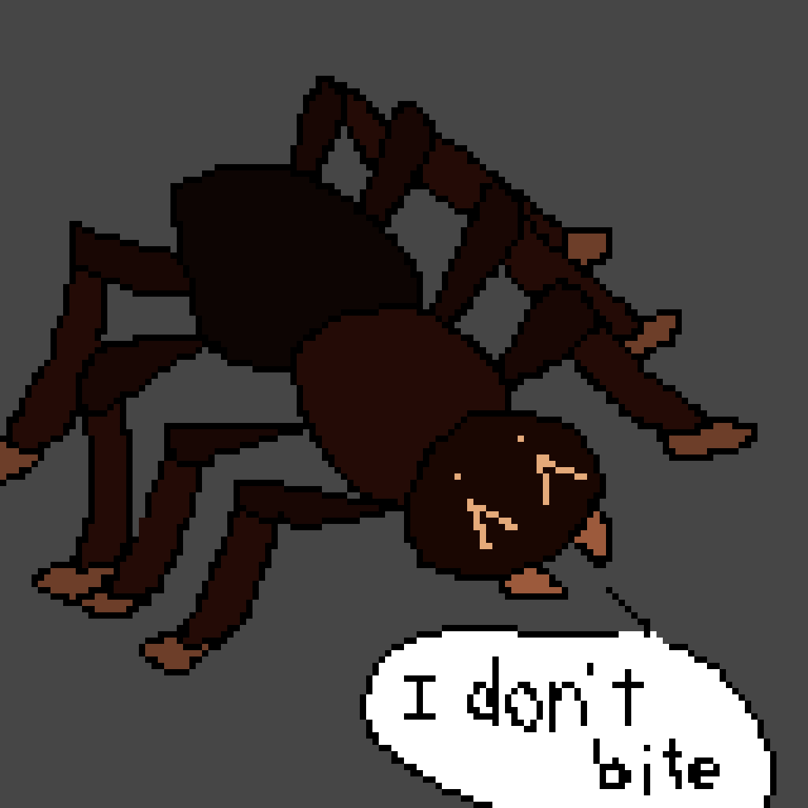 Pixilart Spider By Enereruxd