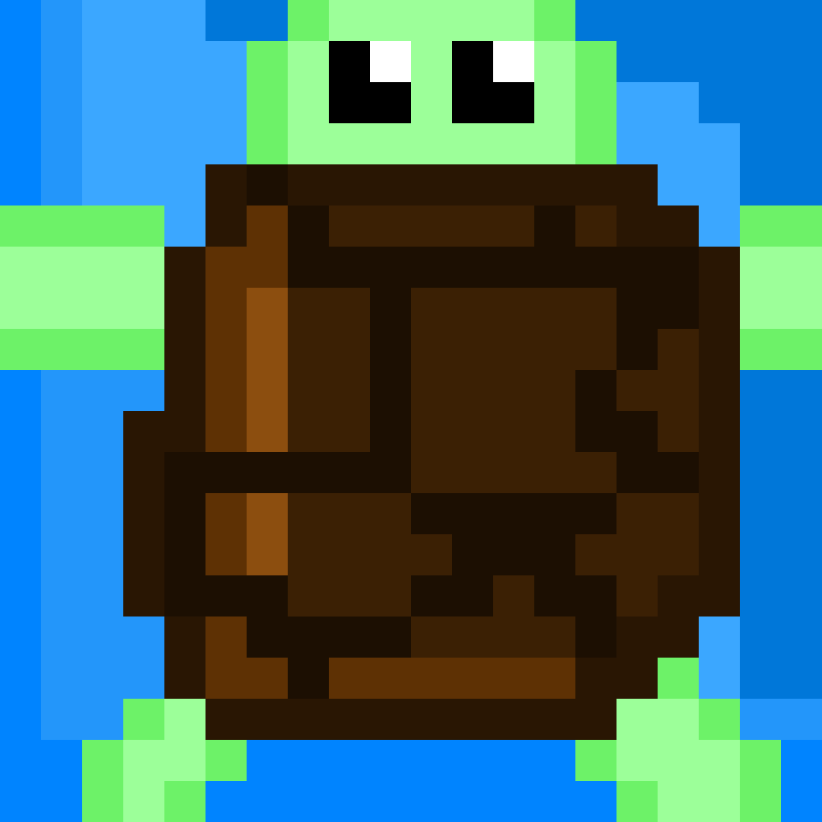 Pixilart - Turtle by Dp1IKOYXFmy2r6w
