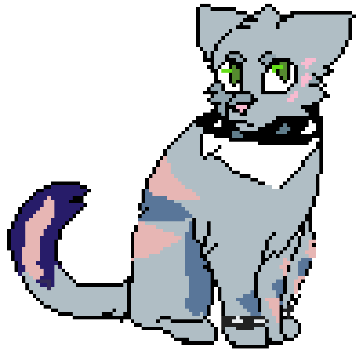 Draw a warriorcat Contest - Pixilart
