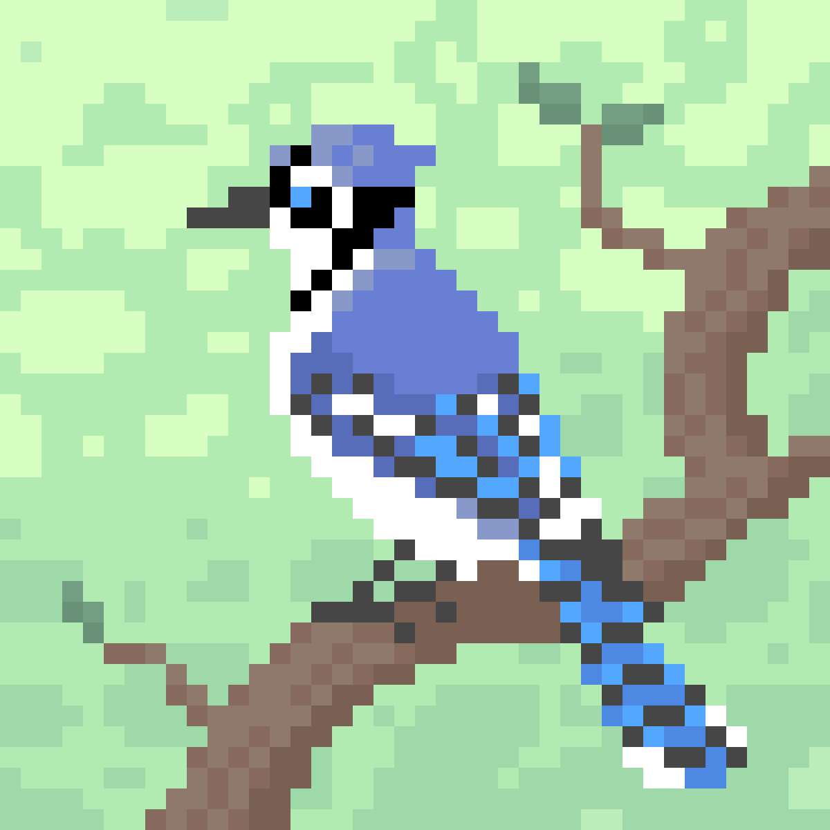 Pixilart - Blue Jay by fishblood