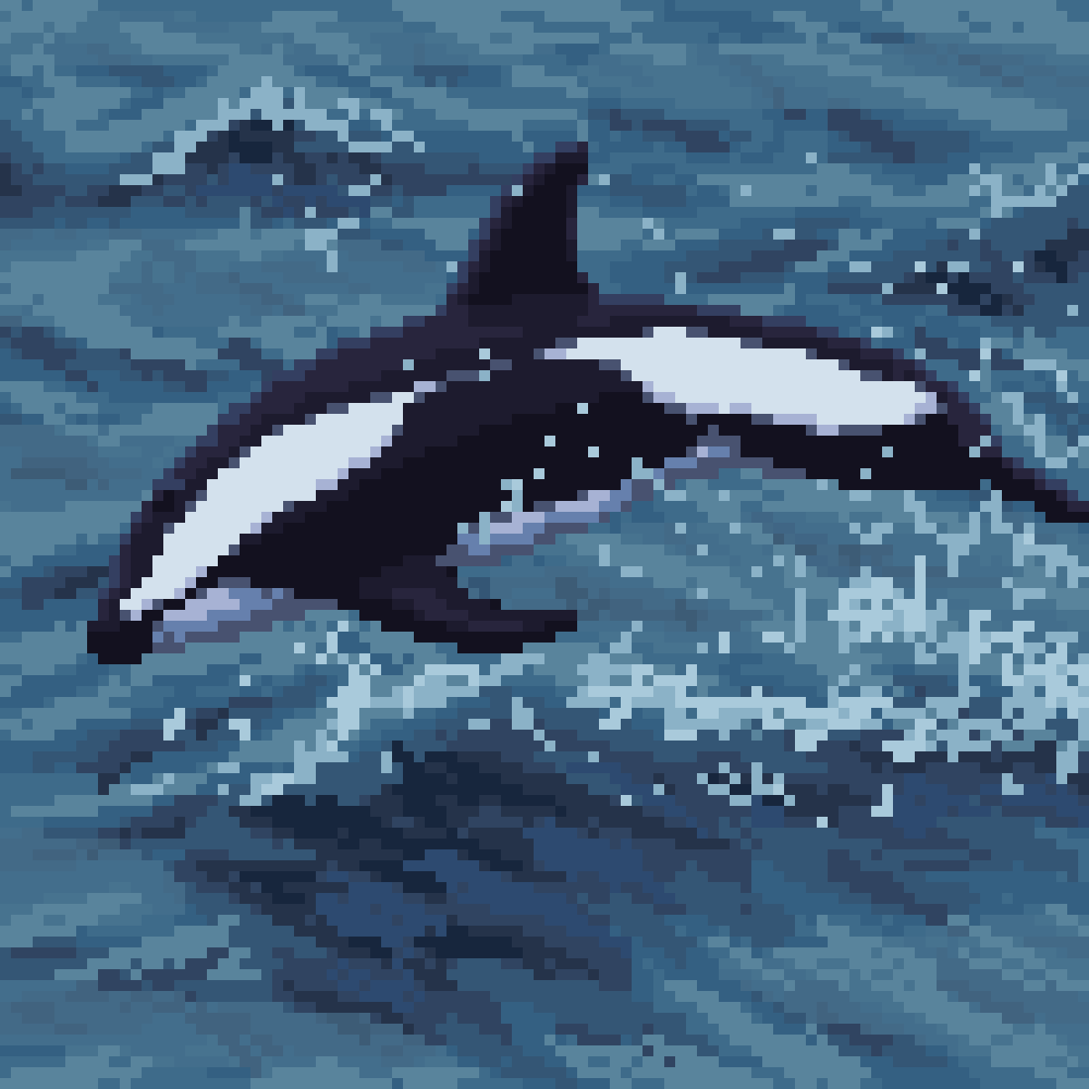 Pixilart - Hourglass Dolphin by UltraLuther