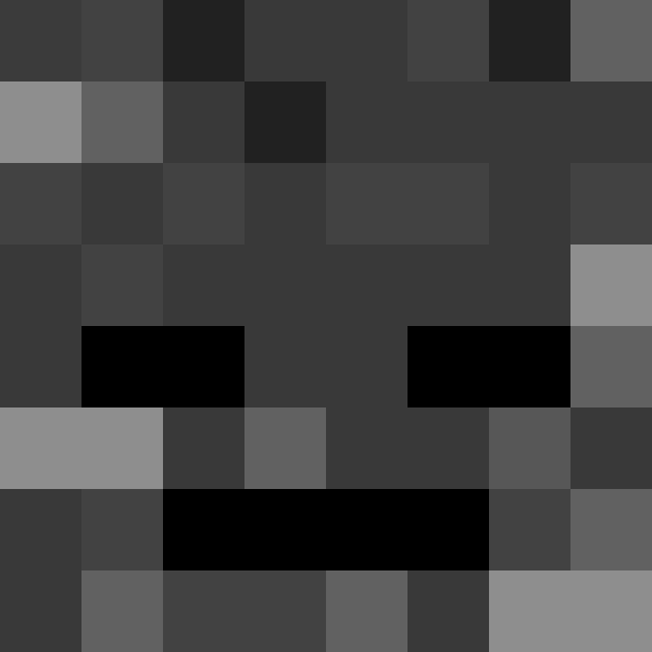 Minecraft Wither Skeleton Face