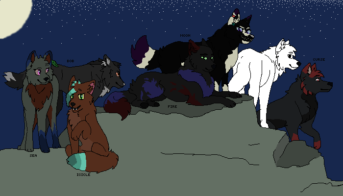 Fire And Ice Wolf Packs