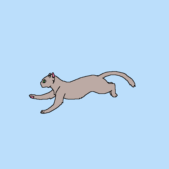 Cat Running Animation