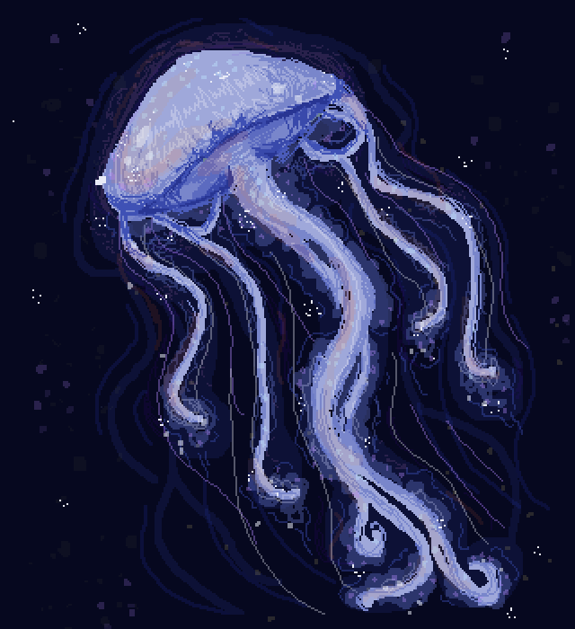 Moon Jellyfish Drawing