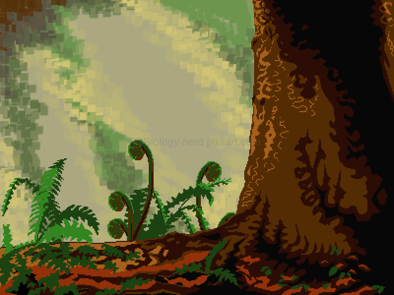 Pixilart - Ferns by Biology-nerd