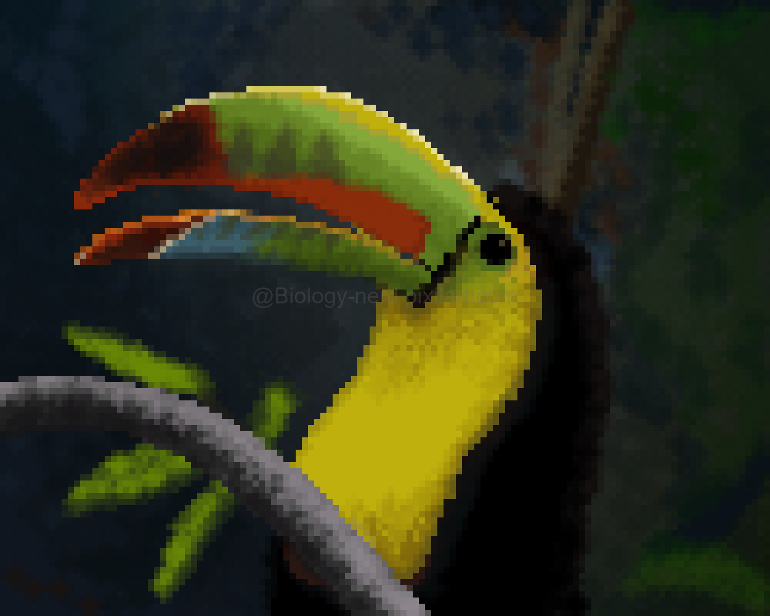 Pixilart - Toucan by Biology-nerd