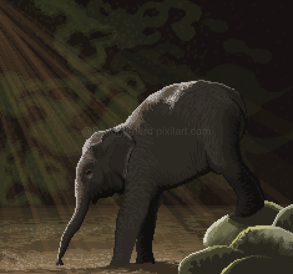 Pixilart - Baby Elephant by Biology-nerd